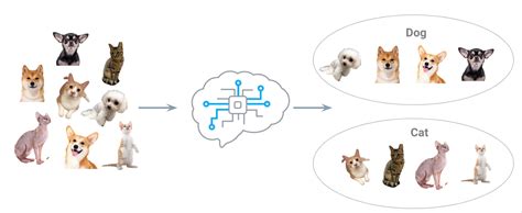 【資料科學入門】購物車裡的秘密 — 關聯分析是什麼？apriori演算法介紹 By Rebecca Taiwanese In Data Science Medium