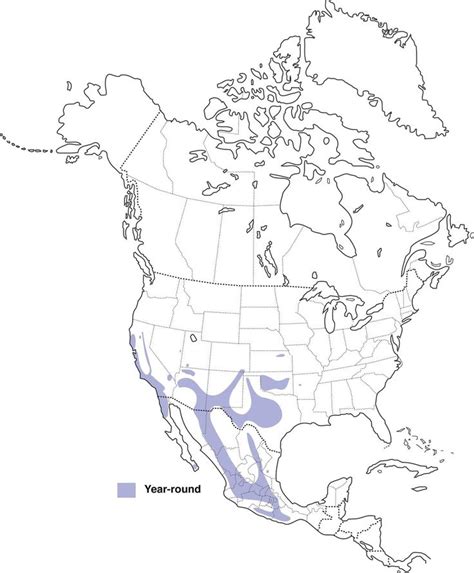 Range Map For Rufous Crowned Sparrow Map Ornithology Sparrow