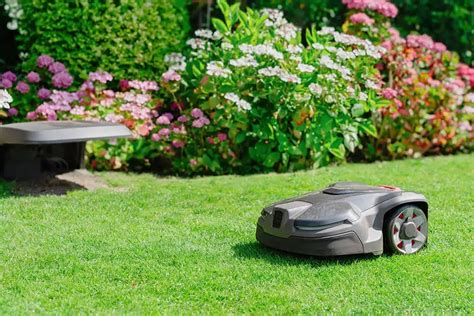 Lawn Mower Battery Hongyitai