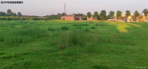 Java 页面背景 Javaweb如何设置背景图片mob6454cc7042a2的技术博客51cto博客