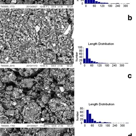 Sem Micrograph And Particle Size Distribution In The Slurry Of A