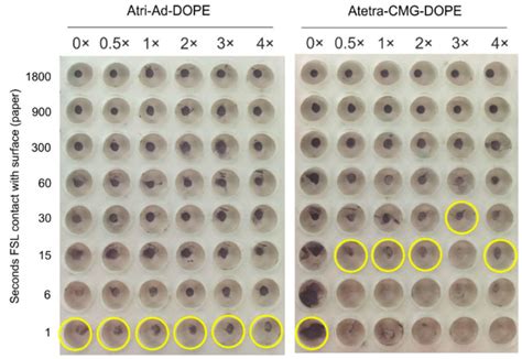 Effect Of Application Buffer Ionic Concentration On The Surface Binding