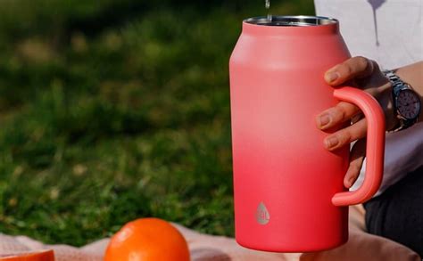 Are Tal Cups Dishwasher Safe An In Depth Look