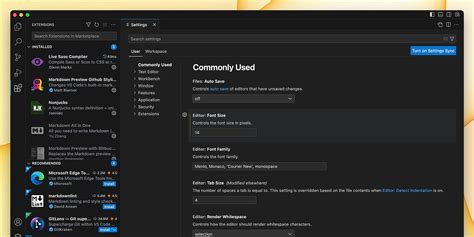 Issue 12 Vs Code Customizing Settings And Adding Extensions