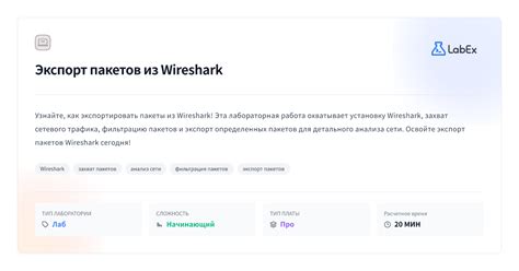 Экспорт пакетов из Wireshark Labex