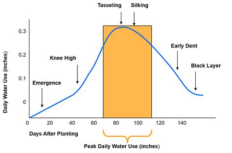 golden harvest reasons for variable corn yield