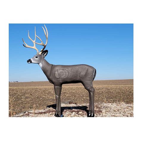 Delta Mckenzie Mule Deer 3d Target Lancaster Archery Supply