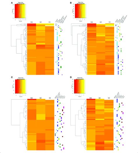 Hierarchical Clustering Heat Maps Geographic Localization Setting