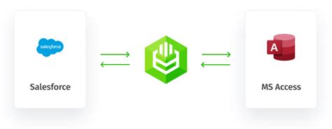 Salesforce Odbc Driver Salesforce Ms Access Connection