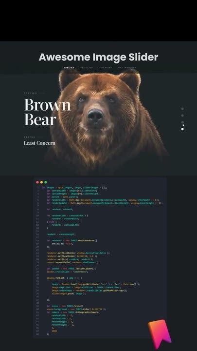Awesome Image Slider Using Css 💻💻 Coding Webdesign Html Css Frontendwebdeveloper