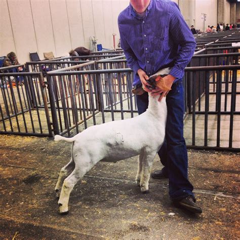 Evan Witte Evanwitte Twitter