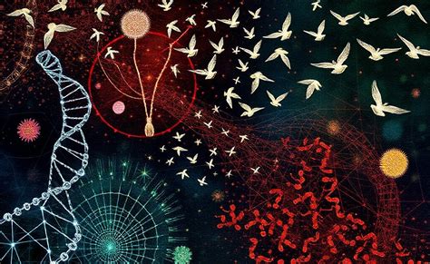 Evolutionary Computation