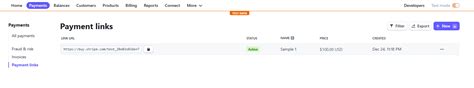 How To Customize Your Stripe Payment Link With The Link Cloaking Feature