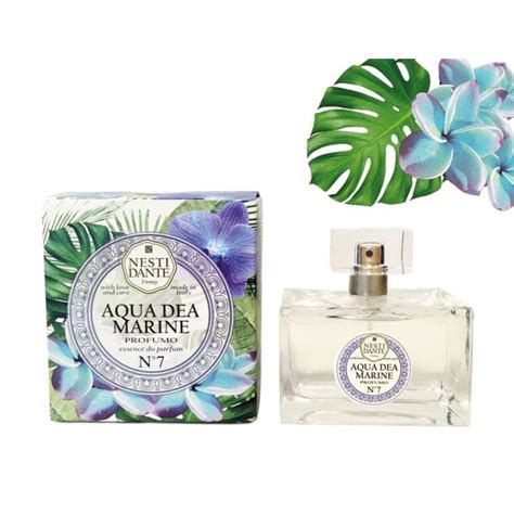Nesti Dante N7 Aqua Dea Marine Perfume 100ml Ts From Chemist