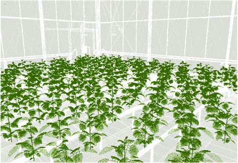 Simulated Tomato Plant Growth In A Virtual Greenhouse Environment