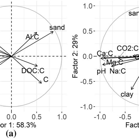 Two Dimensional Projection Of Principal Component Analysis Pca For