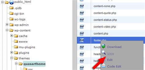 how to detect and add wordpress theme hooks wp head and wp footer