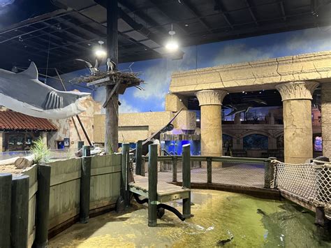 10 Ways To Explore The Long Island Aquarium In New York