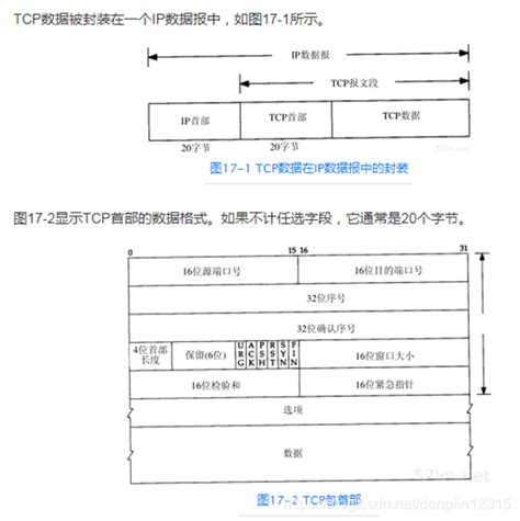 常见的二层协议和三层协议结构以及ip头checksum计算方法 二层协议与三层协议有哪些 csdn博客
