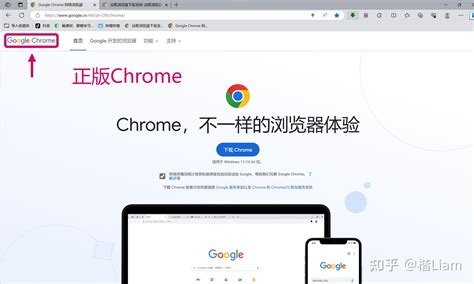 「liam」尊嘟假嘟oo？chrome浏览器竟然有真有假？大家一定要注意了！（附正版chrome下载地址） 知乎