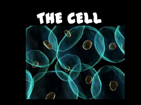 Biology Cells Grade 7 Pptx Biology Cells Grade 7 Pptx