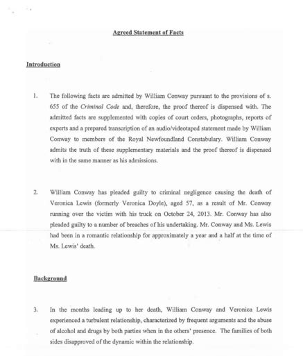How To Write Your Own Legal Statement Of Facts With Samples