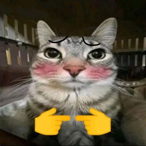 Gato Uwu Gato Like Gatos Serios Gatito Meme