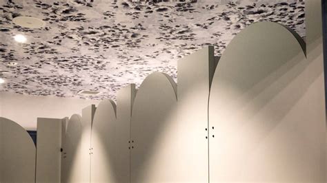 Custom Shape Partitions Ironwood Mfg