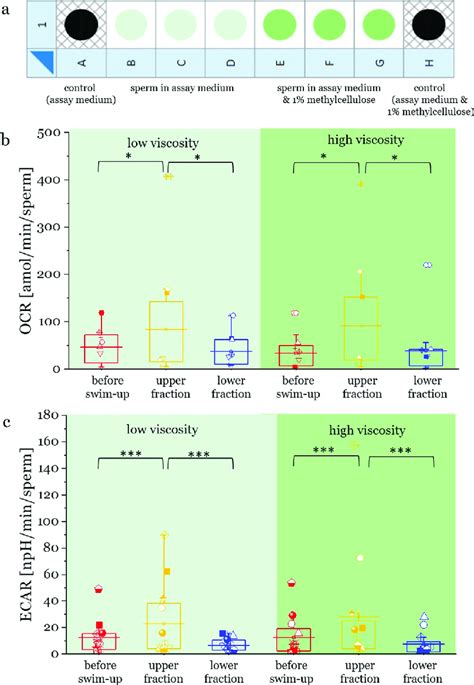 Oxygen Consumption Rate Ocr In Low Viscosity Medium Assay Medium