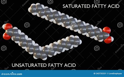 Unsaturated Fat Model What The Fat Unsaturated Saturated And Trans