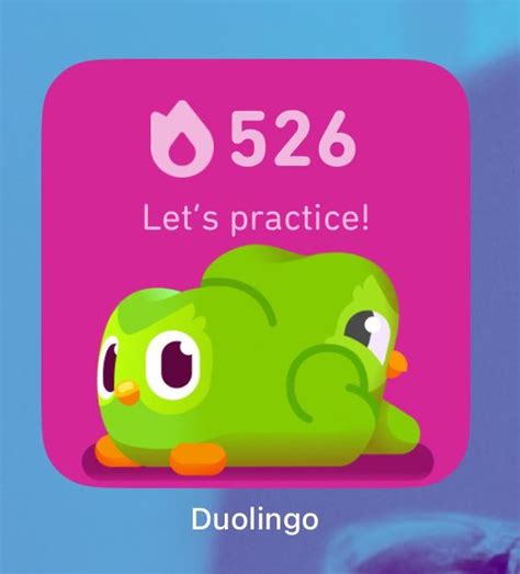 Duo Has A Face On His Butt Rduolingo