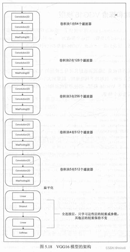 从零开始构建cnn模型cnn 从零实现 Csdn博客