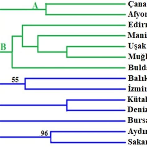 The Unweighted Pair Group Method With Arithmetic Mean Tree Generated