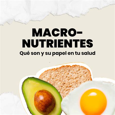 Macronutrientes Qué Son Y Su Papel En Tu Salud Wild Foods Mexico