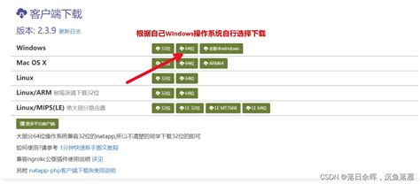 natapp内网穿透使用 natappfree csdn博客