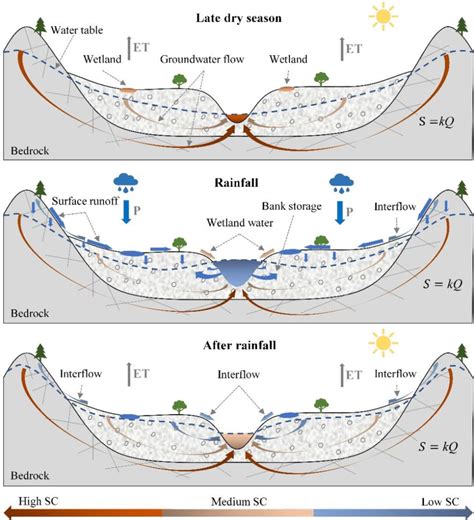 A Conceptual Diagram Illustrating The Influence Of Different Transient Download Scientific
