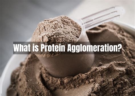 Protein Agglomeration Unlocking The Potential Of Whey Protein Powders