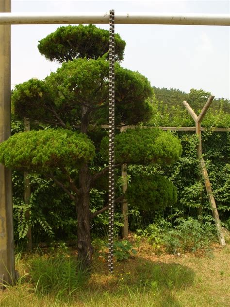 2009 06 19금 자전거 체인chain 체인링chainring 스프라켓sprocket 교체기 네이버 블로그