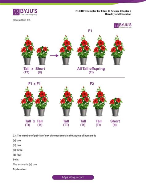 Ncert Exemplar Class 10 Science Solutions Chapter 9