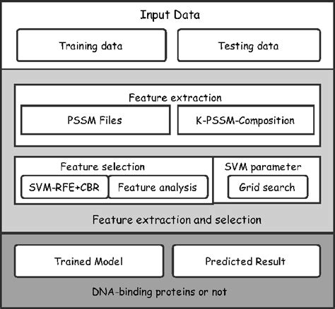 Overall Framework Of The Proposed Method For Predicting Dna Binding