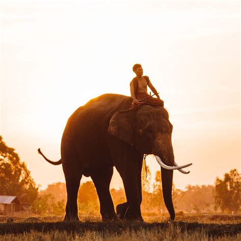 English An Alien Hand Chapter Brining Up Kari