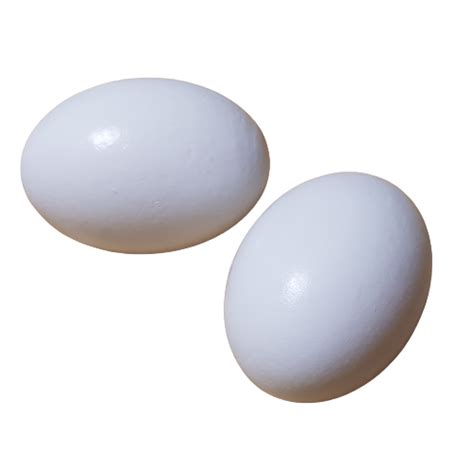 Set 2 Oua False Pentru Cuibar Lemn Vopsit Alb Emagro