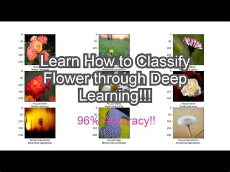Using The Flowers Dataset With TensorFlow Reason Town