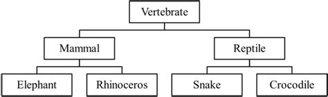 Taxonomy Of Example Nouns In Wordnet Download Scientific Diagram
