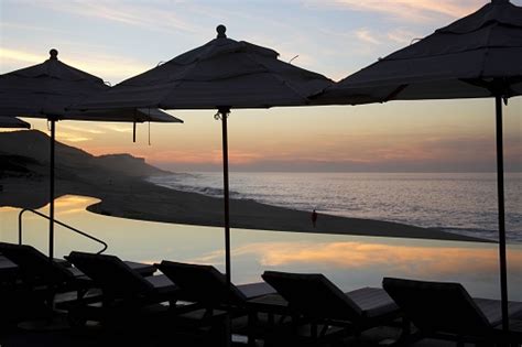 해질녘 카리브해의 모래 해변에 있는 수영장 옆에 있는 가대와 우산의 실루엣 0명에 대한 스톡 사진 및 기타 이미지 0명 가대 개념 Istock