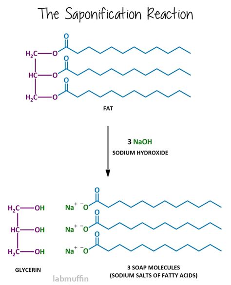 Soap Molecule Structure