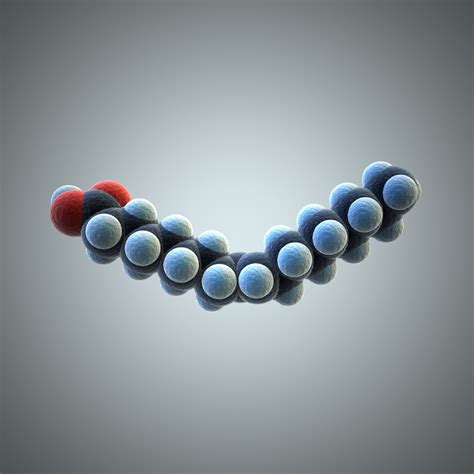 Formula Elaidic Acid 3d Model