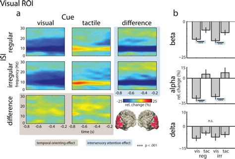 Power Of Neural Oscillations In The Visual Roi A Time Frequency Download Scientific Diagram