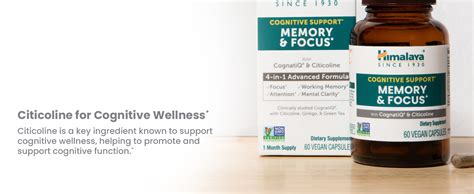 Himalaya Memory And Focus Herbal Supplement Supports Cognitive Function