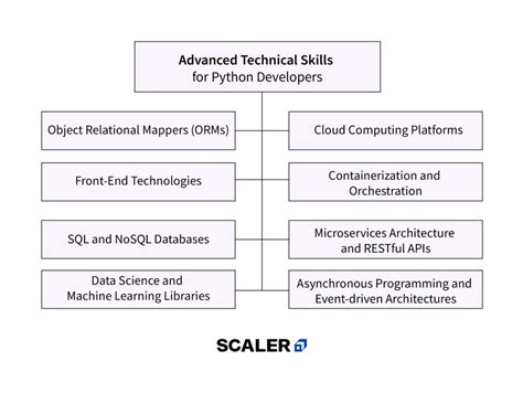Top 20 Python Developer Skills You Need In 2024